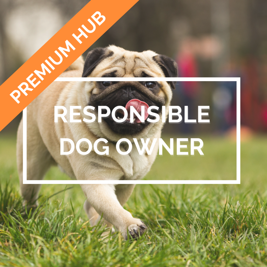 The Responsible Dog Owner Hub - Digital Intervention